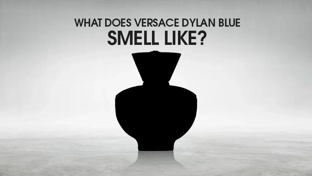 What does Versace Dylan Blue smell like? – Scents N Stories